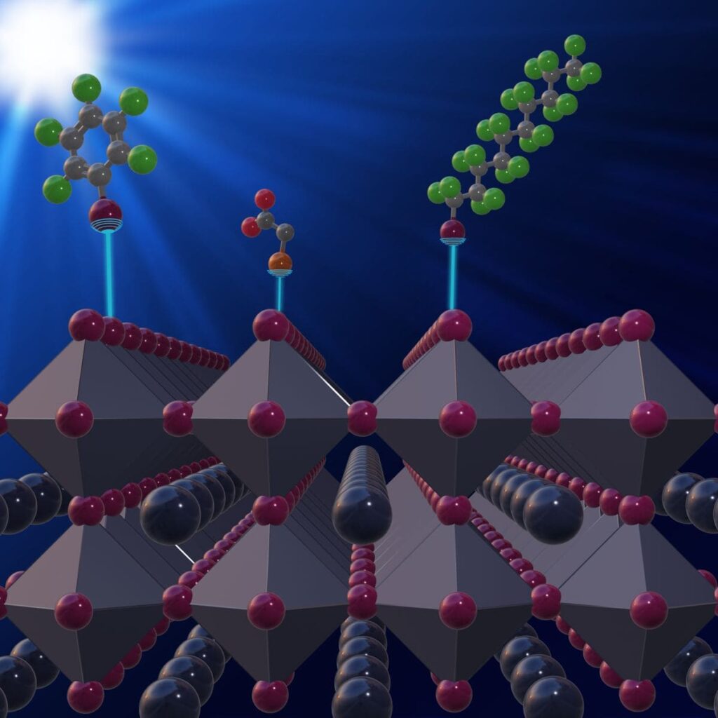 Calixarene, struttura e sintesi - Chimica Today